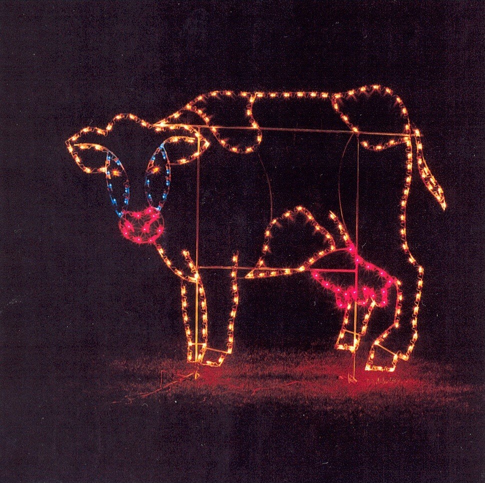 COW - Creative Displays