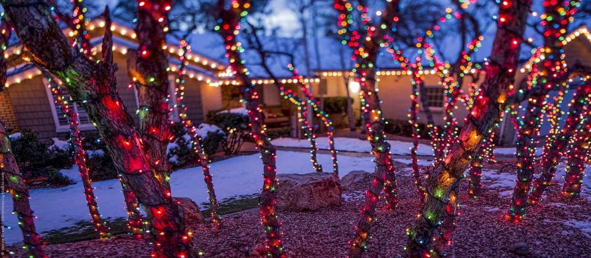 Wrapping Trees with Commercial Holiday Lights | Creative Displays