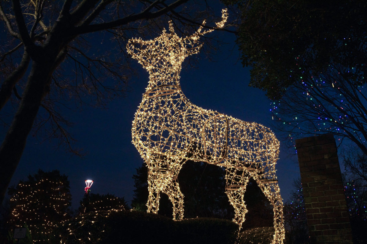 Dimensional Displays - Creative Displays