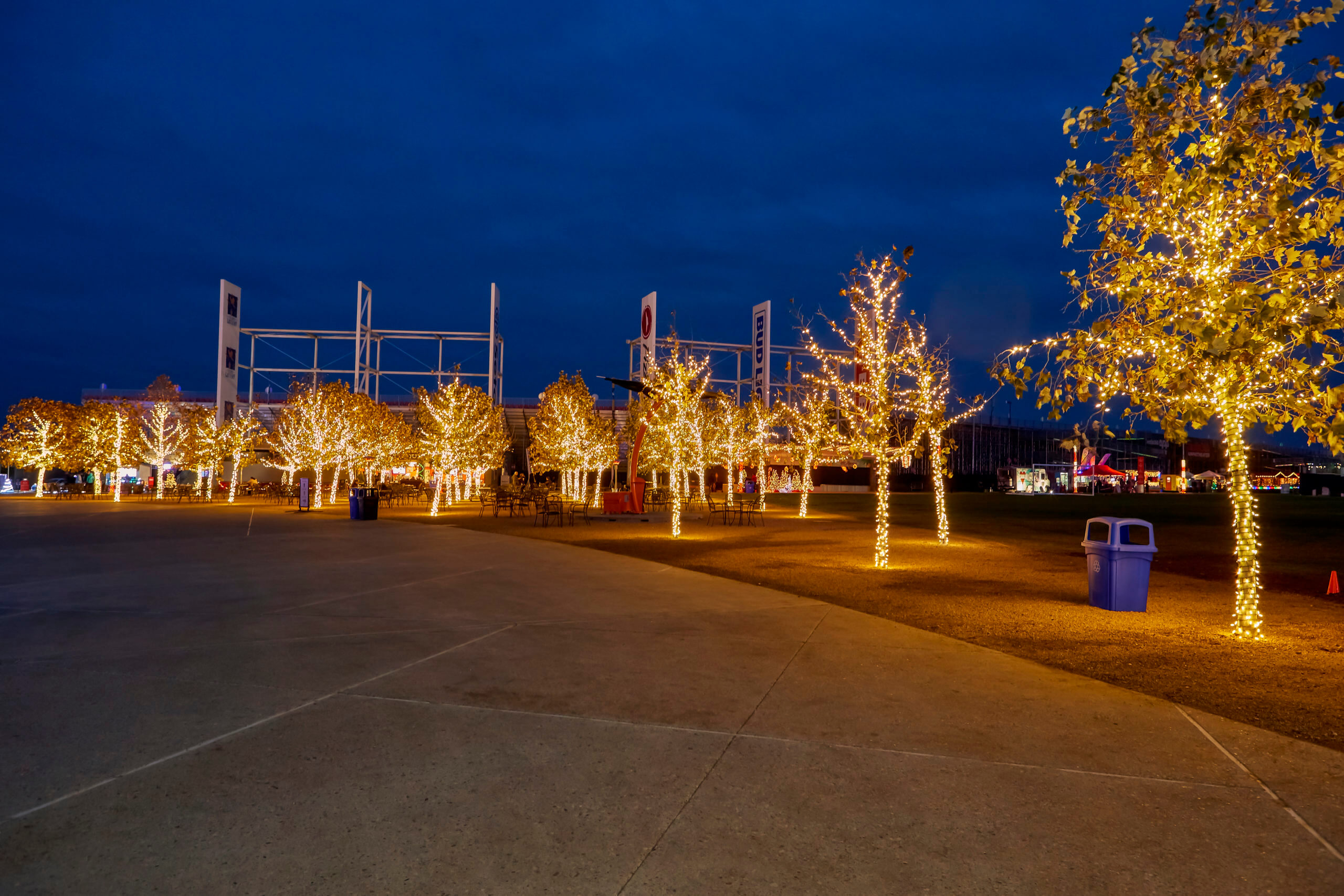 5 Types of Pro-Grade® LED Christmas Lights | Creative Displays