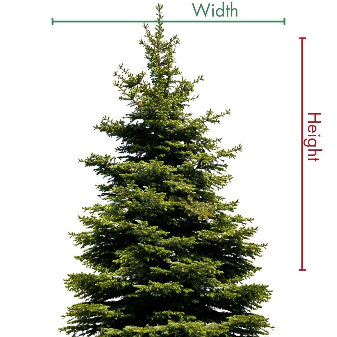 Christmas Tree Light Calculator - Creative Displays